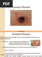 Entrance Wounds | PDF