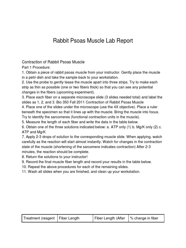 Rabbit Psoas Muscle Lab Report | PDF | Muscle Contraction | Muscle