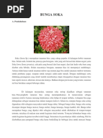 Klasifikasi Dan Morfologi Bunga Mawar | PDF | Griya & Taman