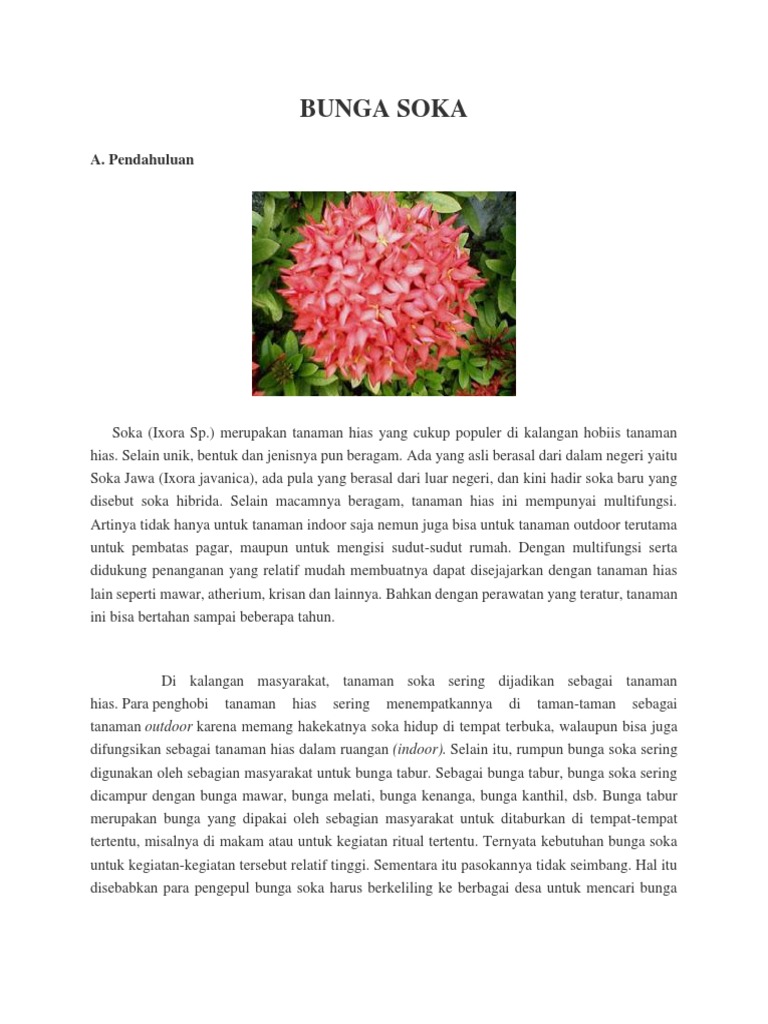 Bunga Soka | PDF