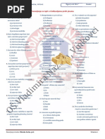 Razred Povijest - Ponavljanje Za Ispit o Staroj Grckoj | PDF