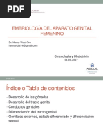 Embriologia de Los Bovinos | PDF | Epitelio | Biología del desarrollo