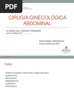 Colpoperineoplastia Anterior y Posterior | PDF