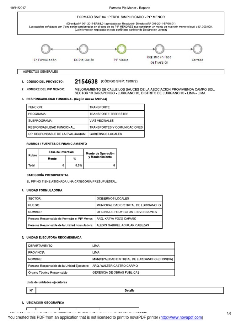 Formato Snip 04: Perfil Simplicado | PDF