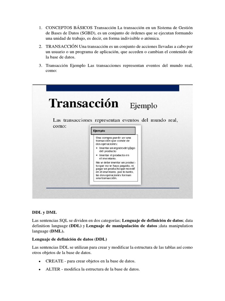 Transaccion - Definicion y Ejemplos | PDF