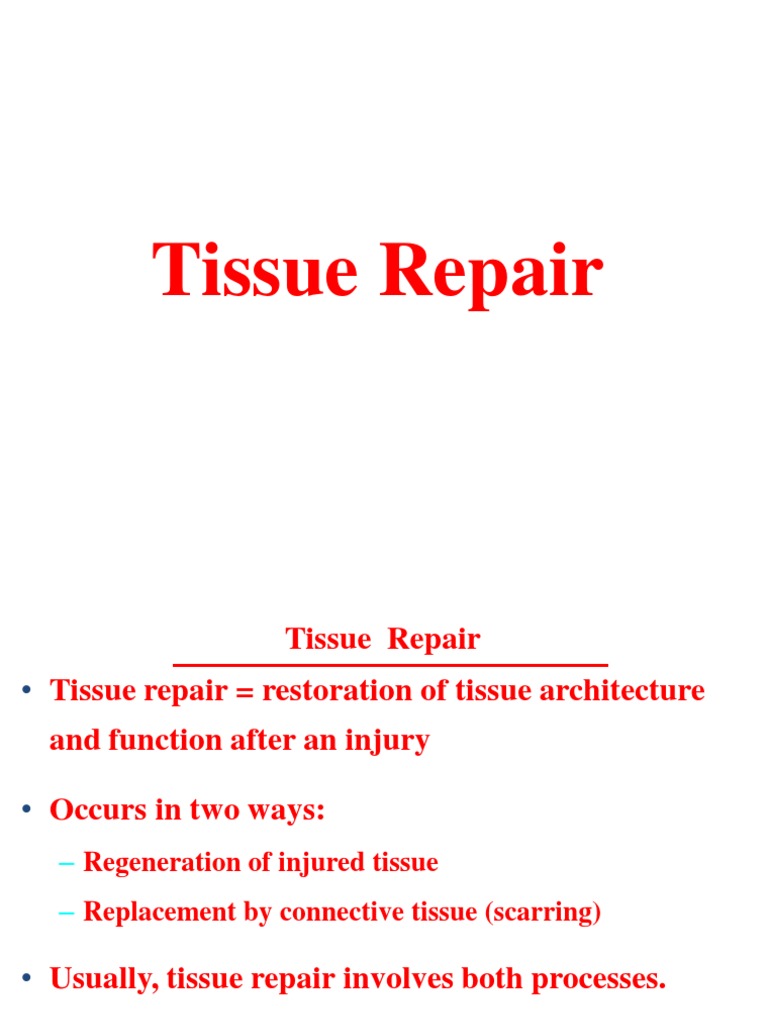 5- Tissue Healing and Repair PPT | Healing | Wound Healing