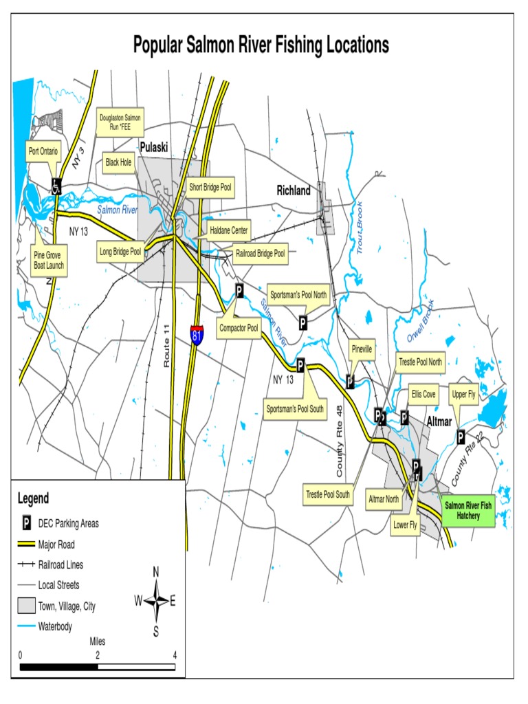 Salmon River Map | PDF | Aquatic Vertebrates | Fish And Humans