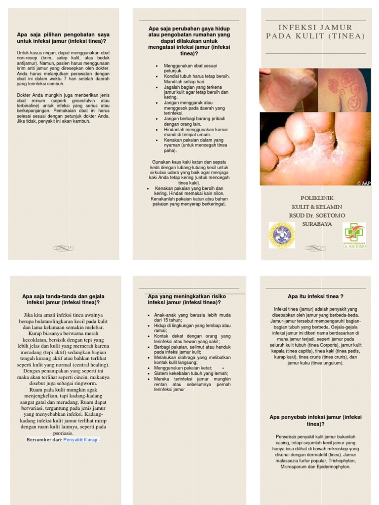 Leaflet Jamur | PDF