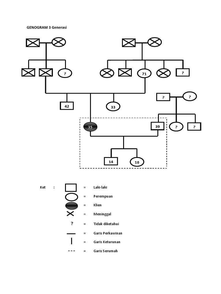 GENOGRAM 3 Generasi | PDF
