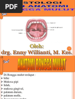 Anatomi Rongga Mulut Manusia | PDF
