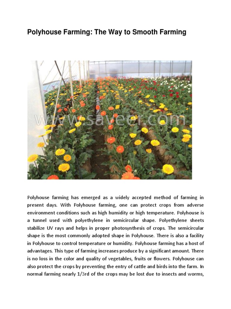 Polyhouse Farming The Way To Smooth Farming | PDF | Greenhouse ...