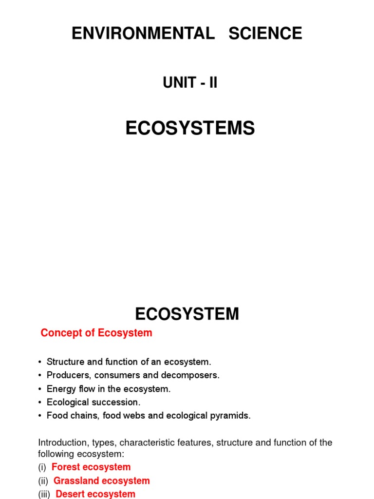 Ecosystem Basics for Students | PDF | Food Web | Ecosystem
