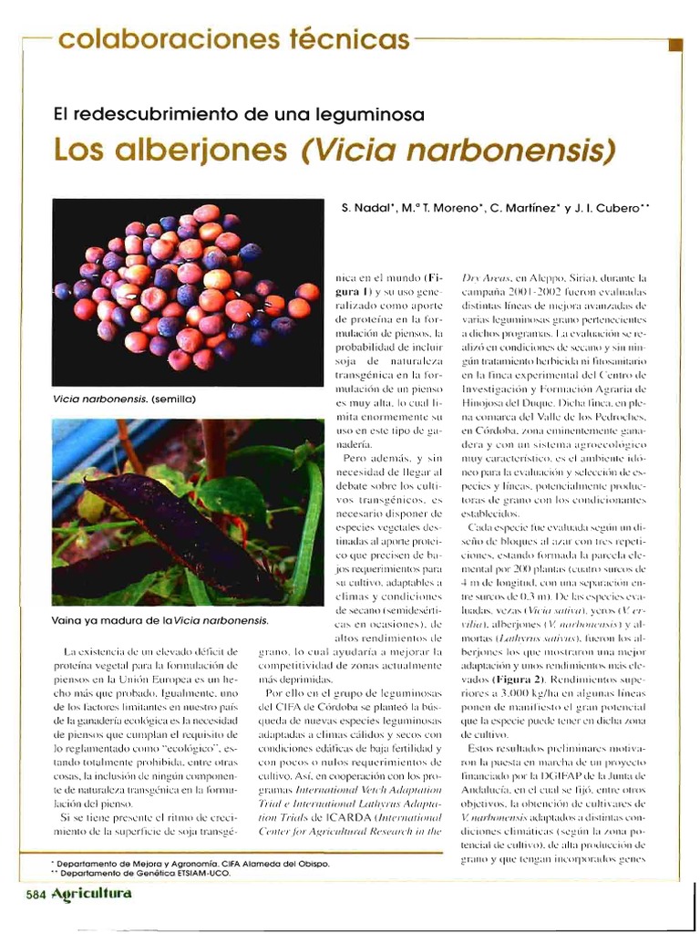 Los Alberjones (Vicia Narbonensis) | PDF | Agricultura | Plantas