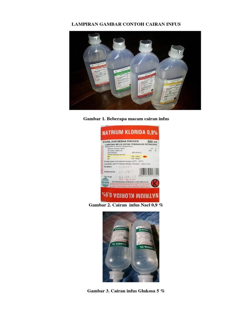 Lampiran Gambar Contoh Cairan Infus | PDF | Animals And Humans | Animal ...