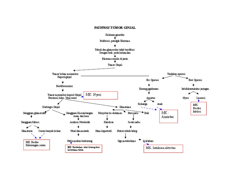 Woc Tumor Wilms | PDF