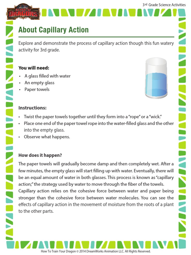 Capillary Action Science Activity | PDF