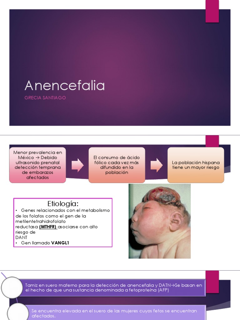 Anencefalia | PDF | Biopsia | El embarazo