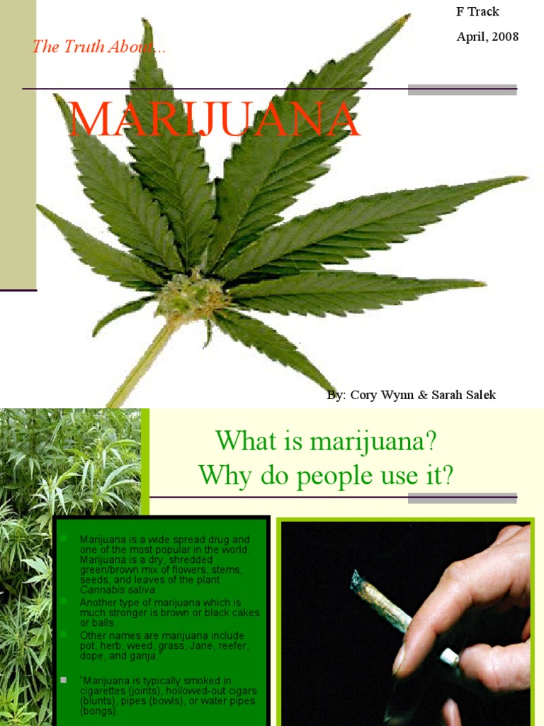 Marijuana: The Truth About | PDF | Cannabis (Drug) | Substance Abuse