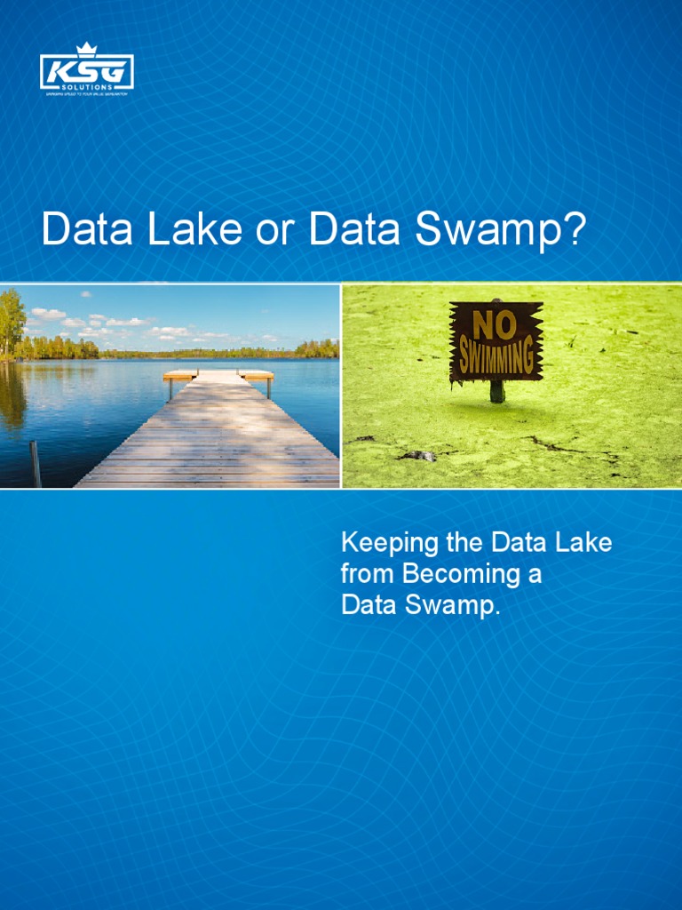 Data Lake or Data Swamp? | PDF | Cloud Computing | Big Data