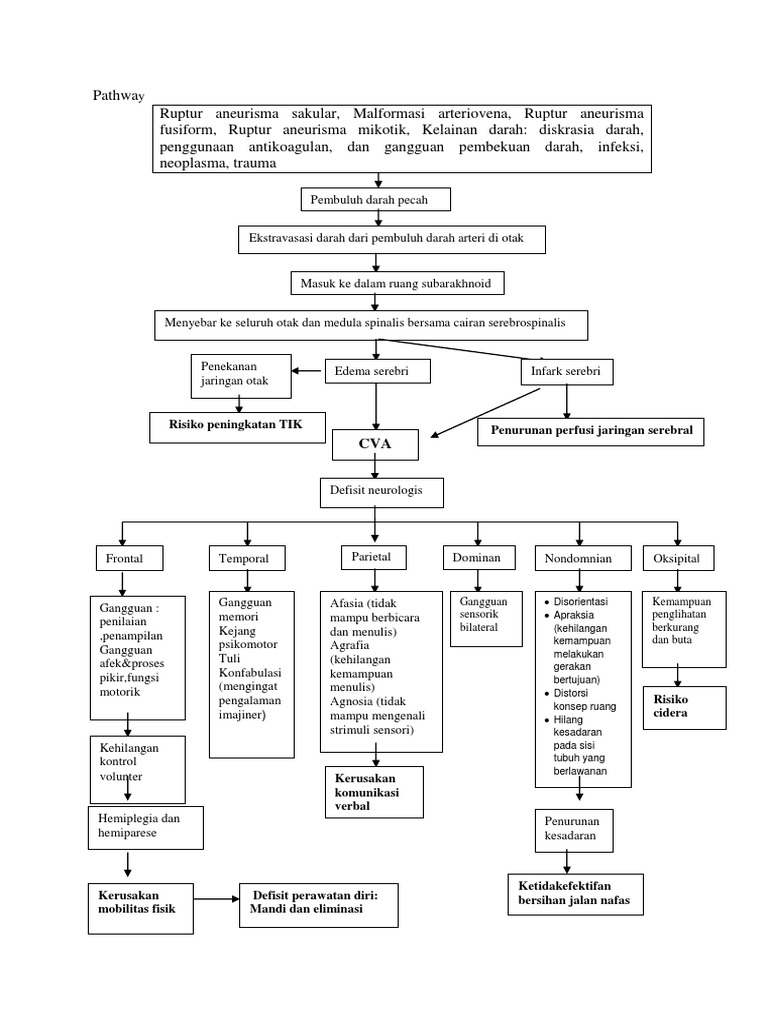 Pathway Cva Ich | PDF