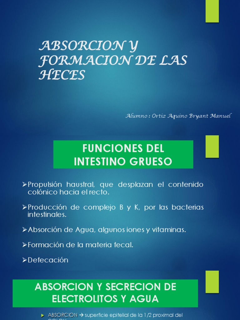 Absorcion y Formacion de Las Heces | PDF