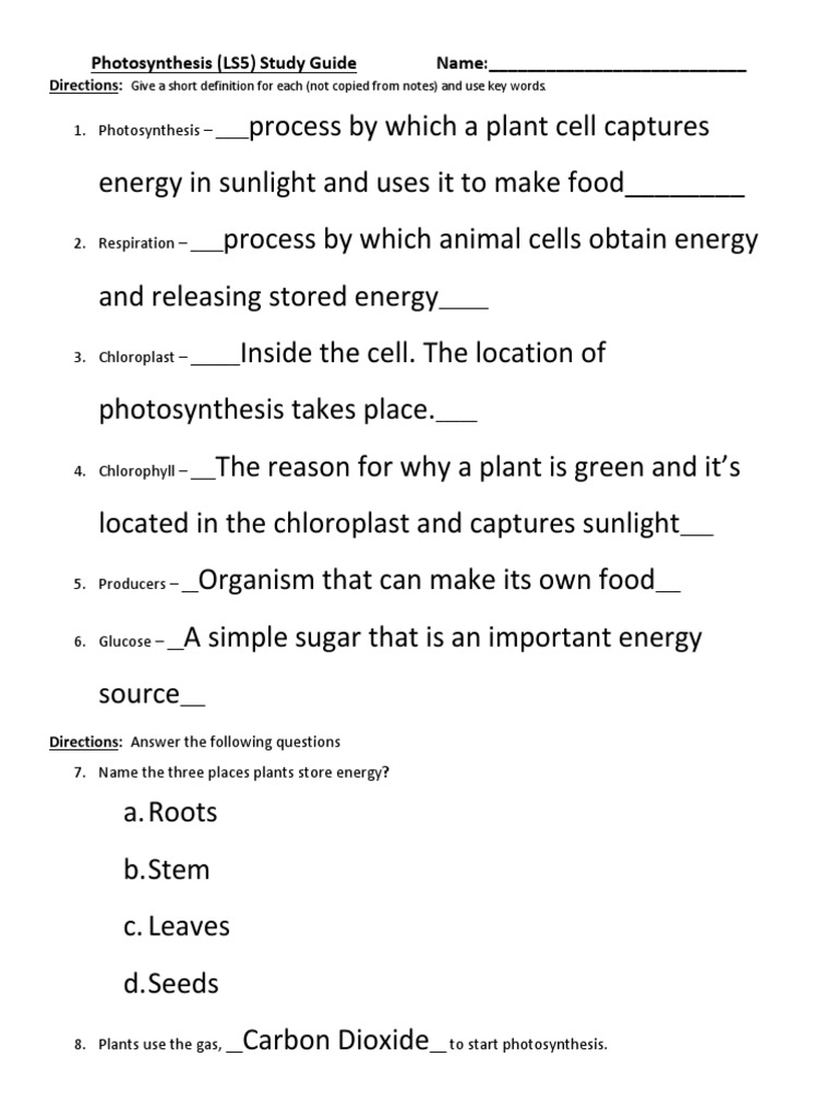 Photosynthesis Study Guide Answers | PDF | Photosynthesis | Plants