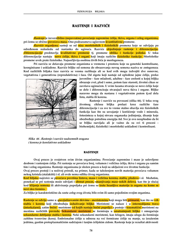 Rastenje I Razvice | PDF | Computer Related Introductions | Foreign ...