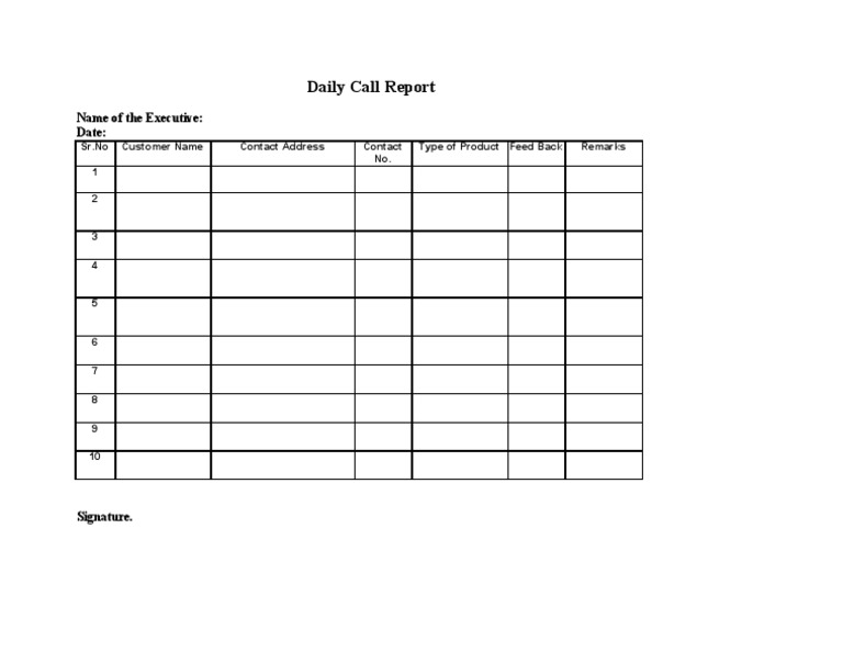 Daily Call Report Template | PDF