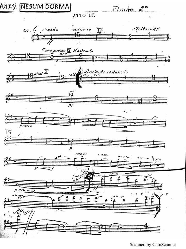 Nessum Dorma Flauta 2 | PDF