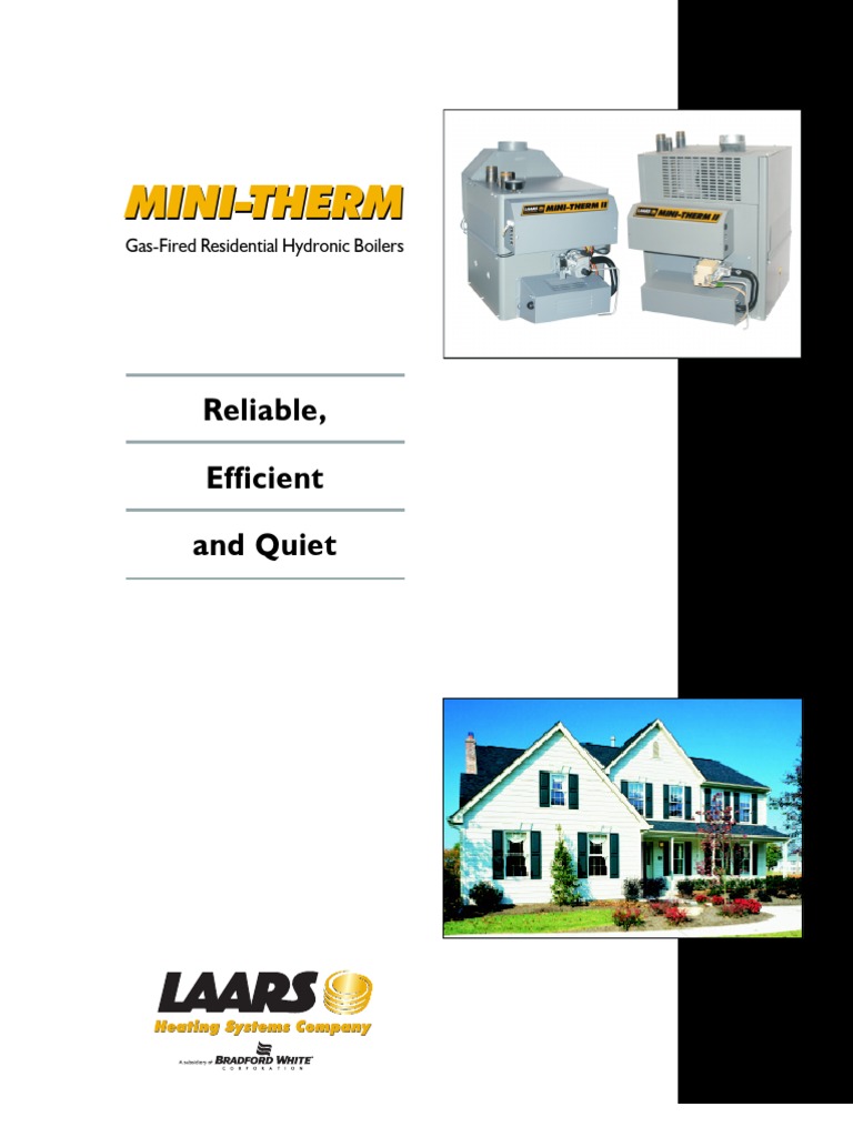 Laars Mini Therm | Boiler | Chimney