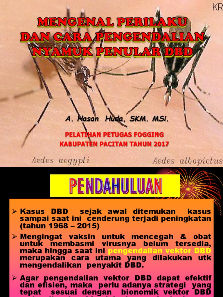 Vektor DBD Insektisida Pengendaliannya | PDF