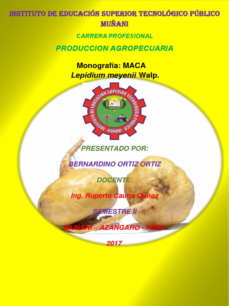 Monografía sobre la Maca | PDF | Siembra | Hoja