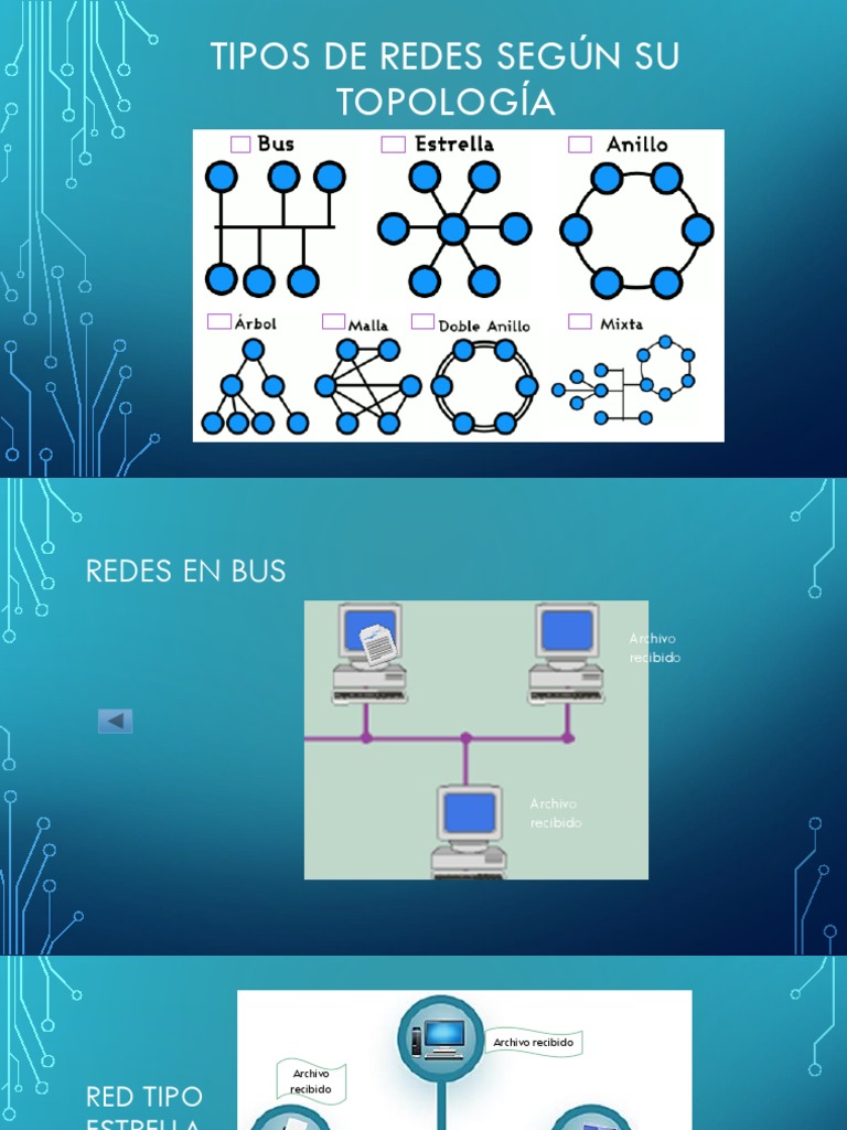 5.tipos de Redes Según Su Topología | Topología de la red | Redes de ...