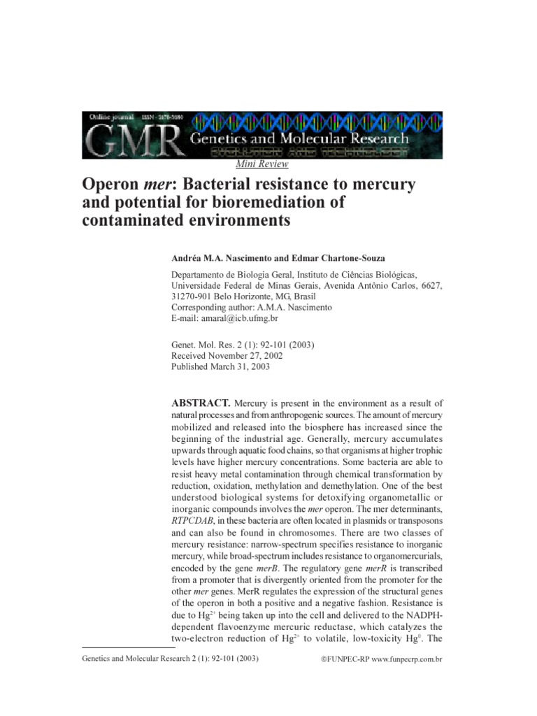Operon Mer Bacterial Resistance To Mercury and Potential For ...