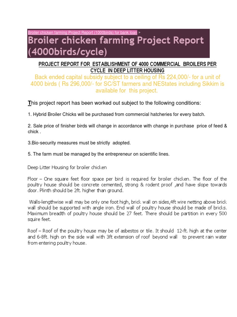 Broiler Chicken Farming Project Report | Download Free PDF | Poultry ...