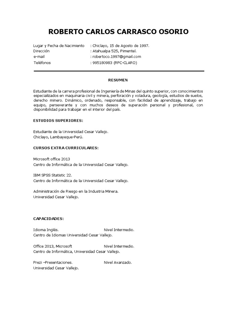 Curriculum Roberto | PDF | Minería | Science