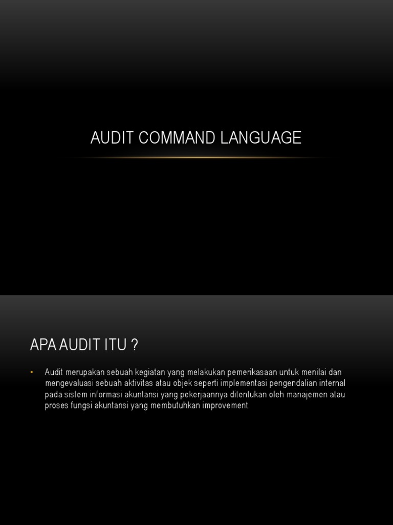 Audit Command Language | PDF