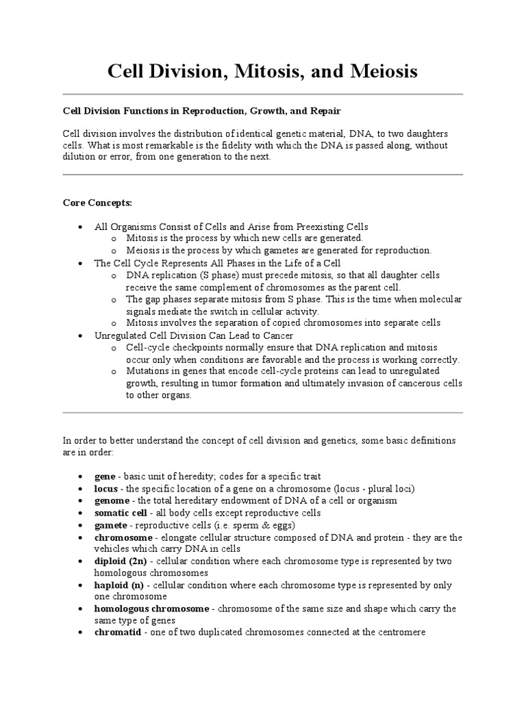 Cell Division, Mitosis, and Meiosis | PDF | Meiosis | Mitosis