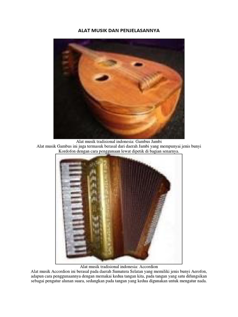 Alat Musik Tradisional Sumatera Selatan Accordion