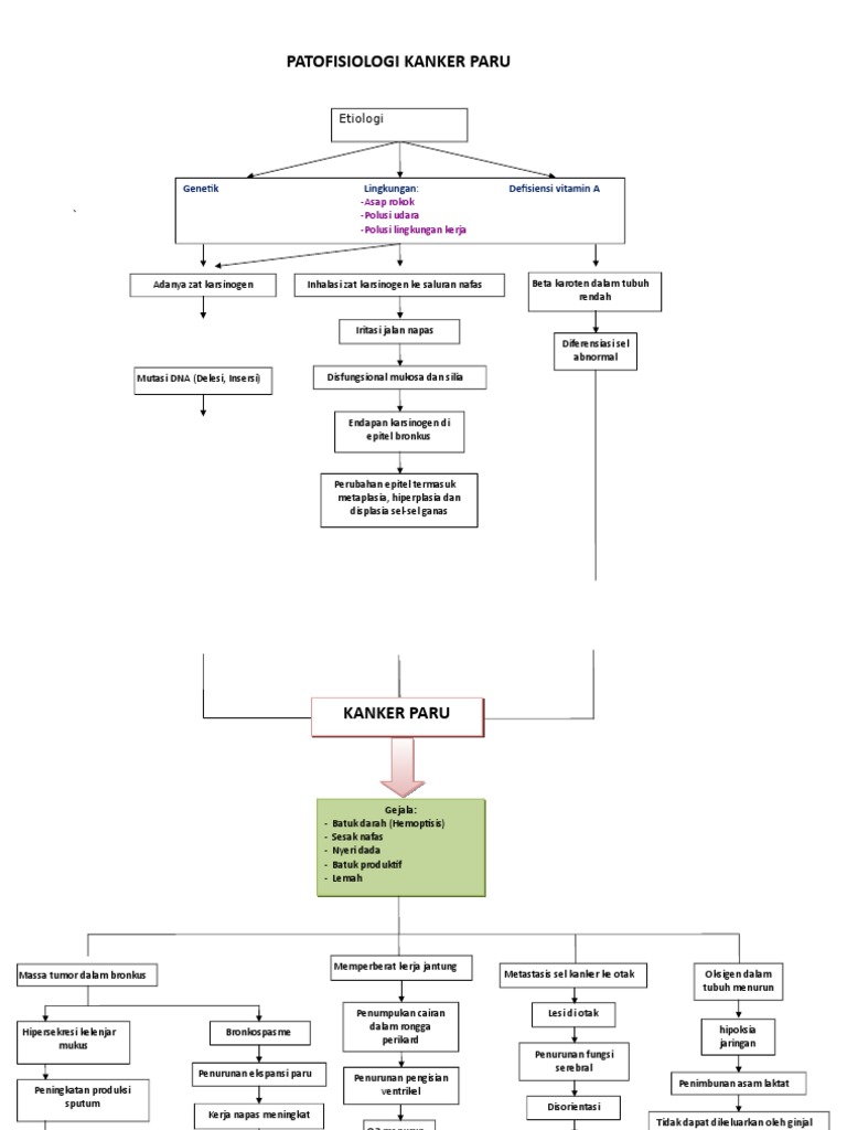 Pathways CA Paru | PDF