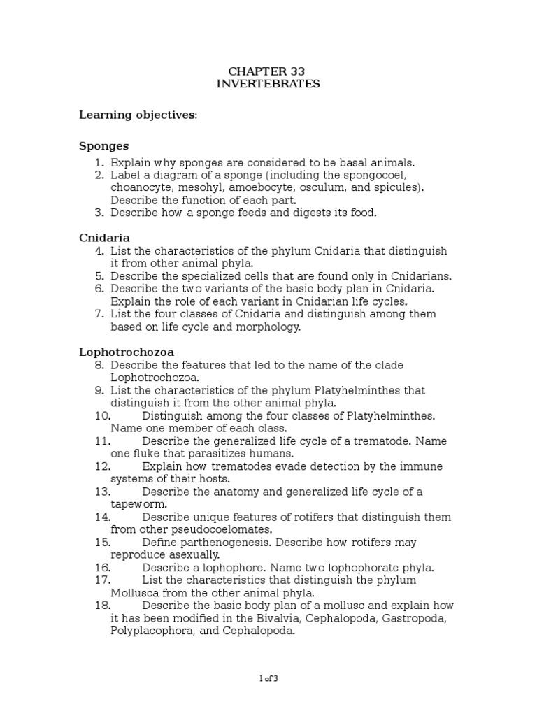 33 Invertebrates Learning Objectives | PDF | Invertebrate | Organisms