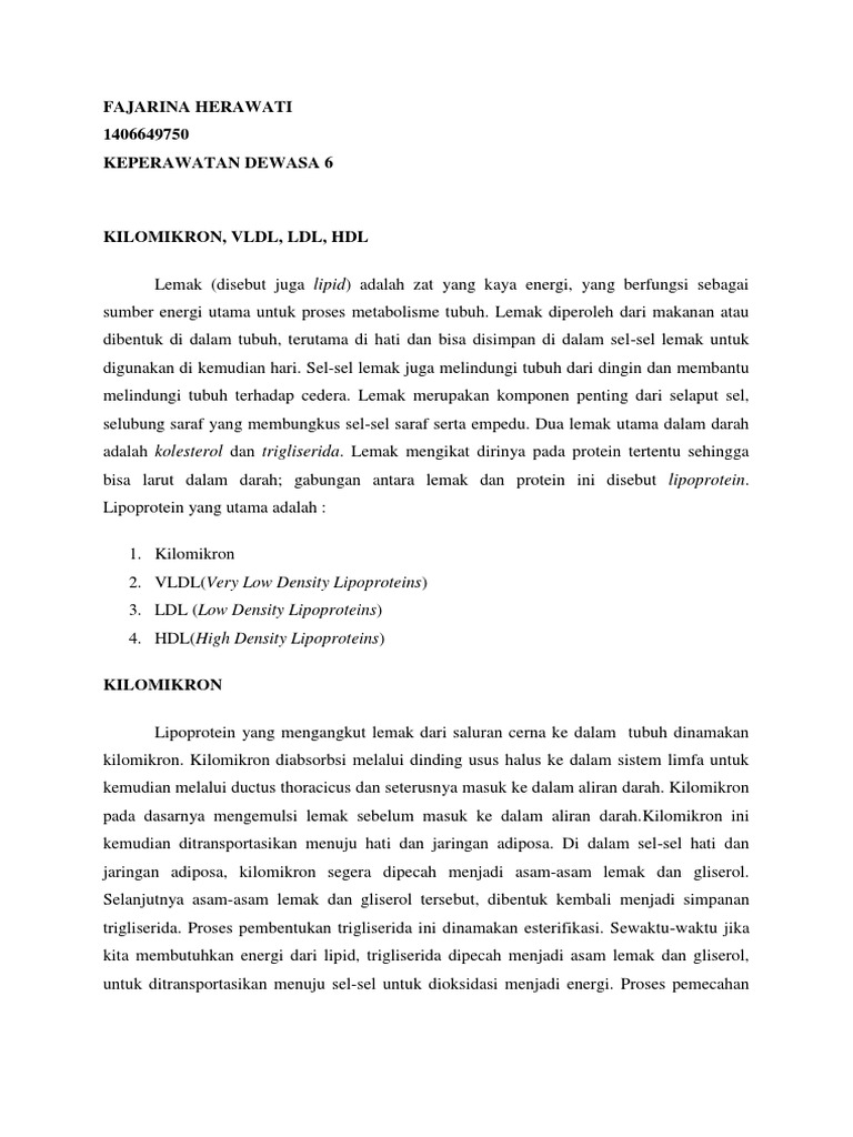 Lipoprotein: Kilomikron, VLDL, LDL, HDL | PDF