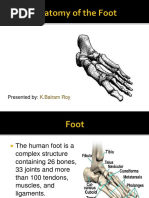 Footand Ankle Anatomy Labeling Lab | PDF | Foot | Ankle