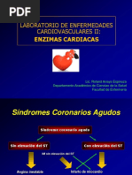 Las Uniones GAP | PDF | Músculo | Contracción muscular