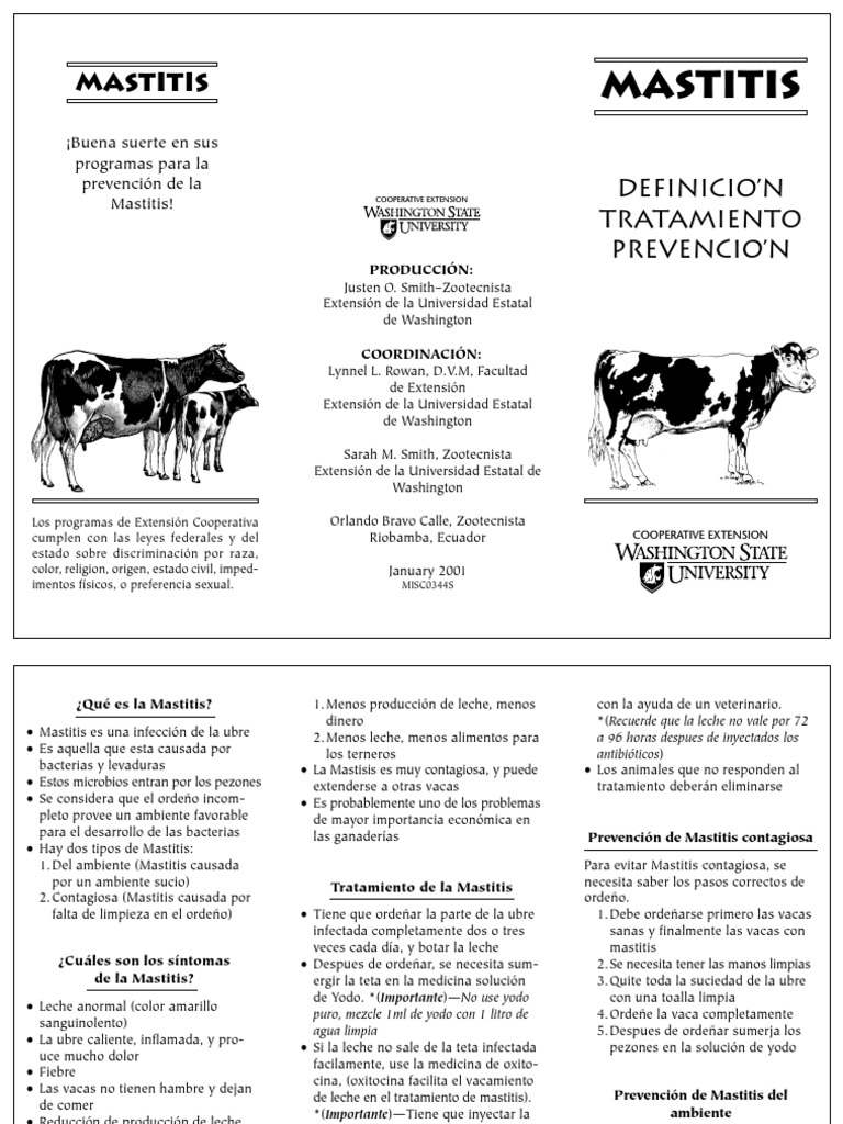 Mastitis PDF | Vacas | Leche | Prueba gratuita de 30 días | Scribd