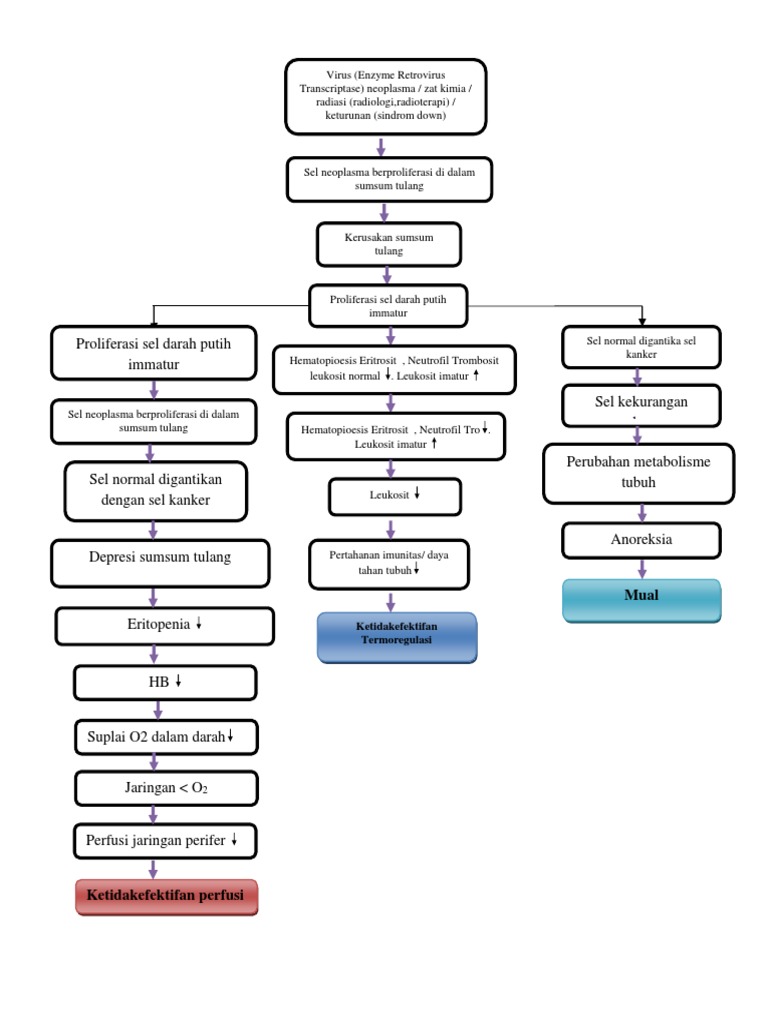 Pathway Leukemia | PDF