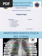 Signos Radiológicos Del Torax | PDF | Pulmón | Tórax