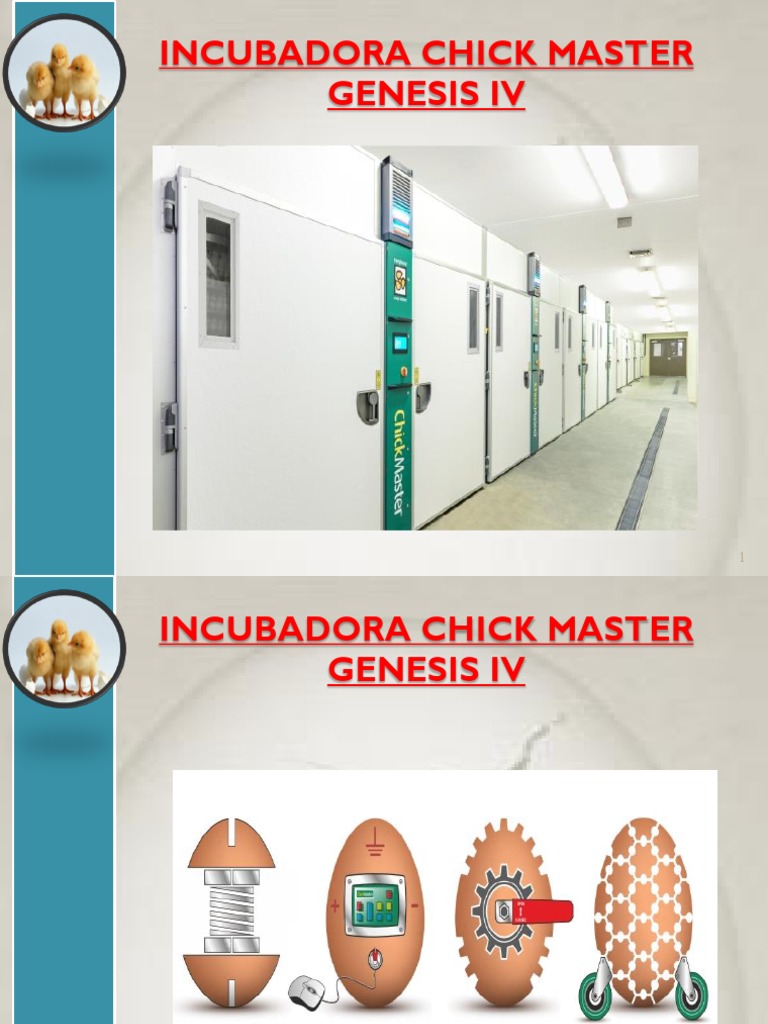 Incubator Chick Master Genesis Iv | PDF | aduana | Transporte