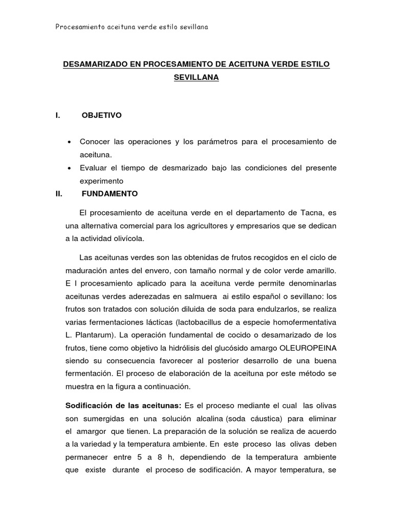 Prac 04 Desamarizado en Procesamiento de Aceituna Verde Estilo Sevillana | PDF | Cloruro de ...