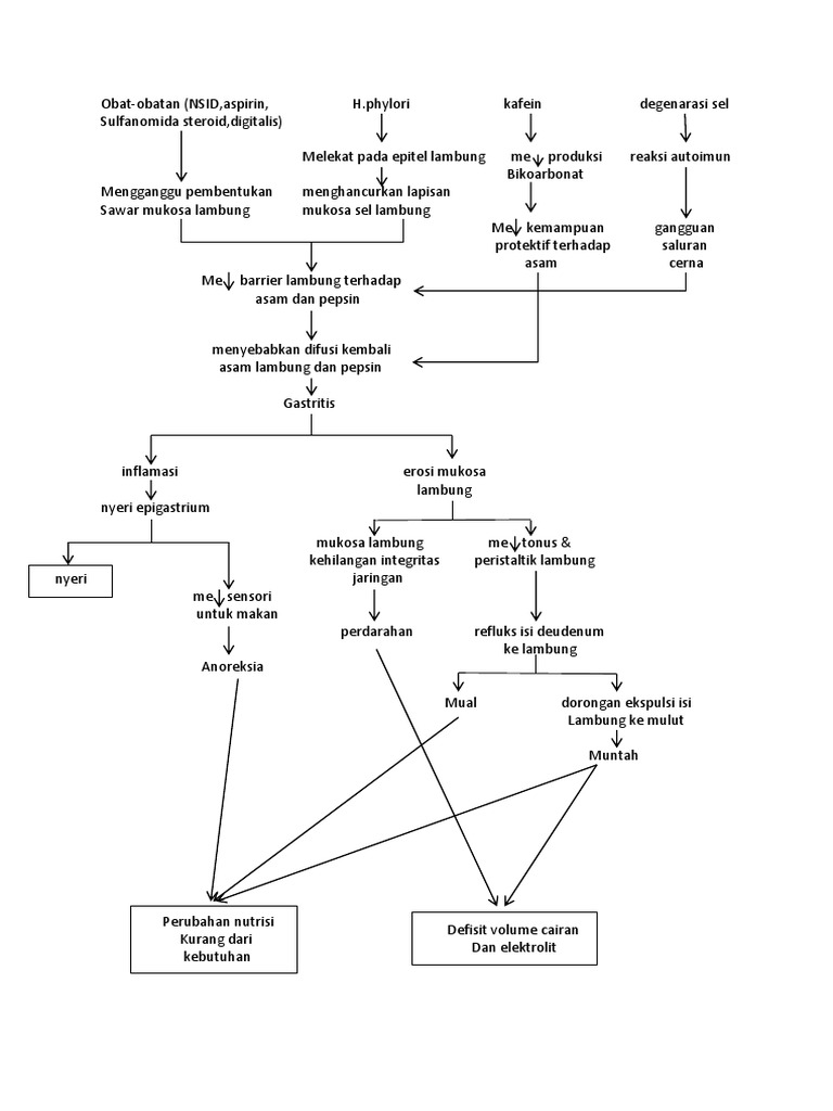 Pathway Gastritis | PDF
